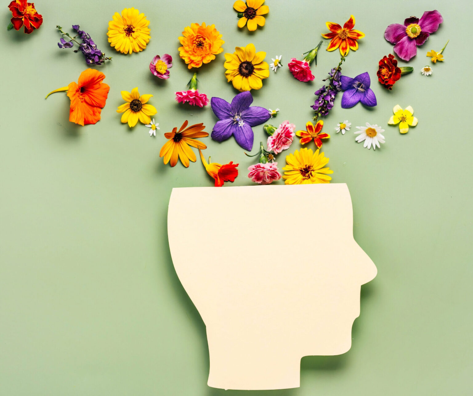 20 New Words You’ll Want to Know in 2025 | APC Publishers